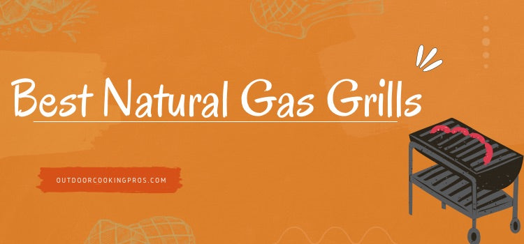 Best Natural Gas Grills - Outdoor Cooking Pros
