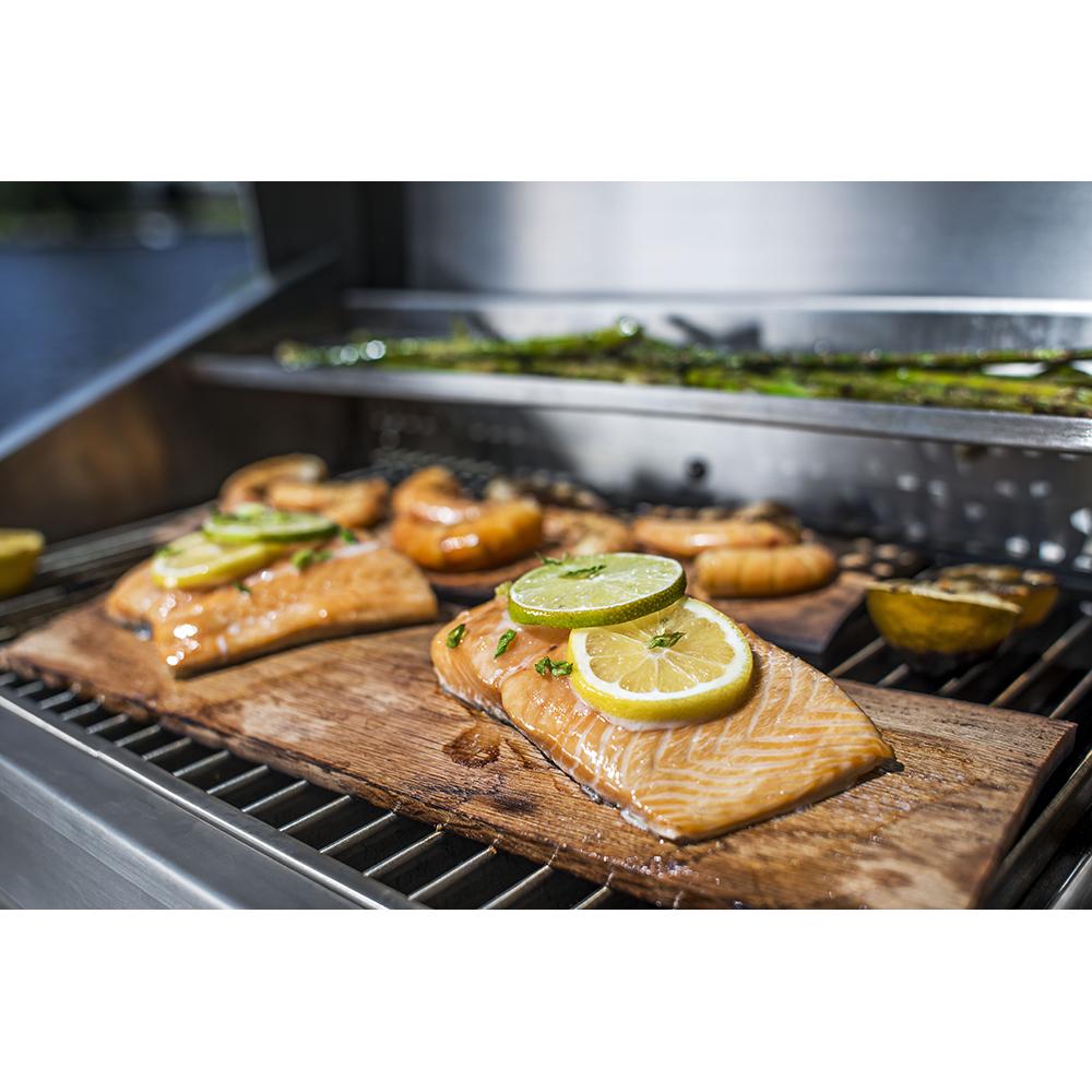 TEC Sterling Patio FR 26" Stainless Steel Built-In Infrared Gas Grill ...